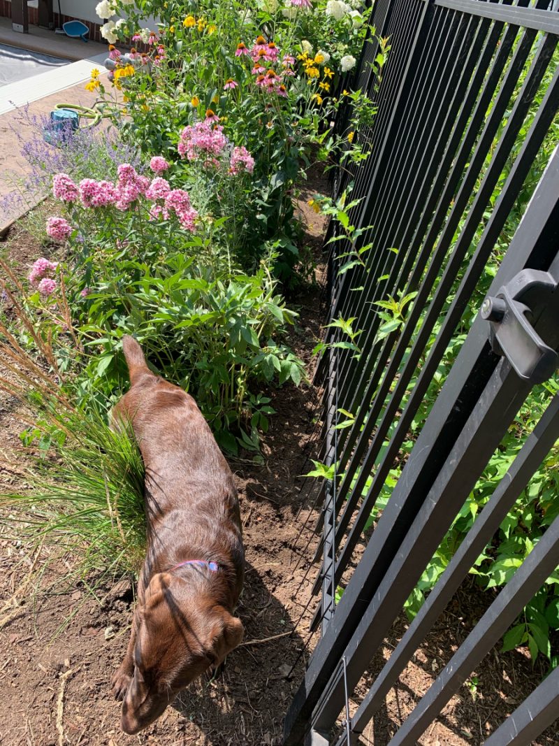 Puppy Panels | Phillips Outdoor Services - Onalaska, WI