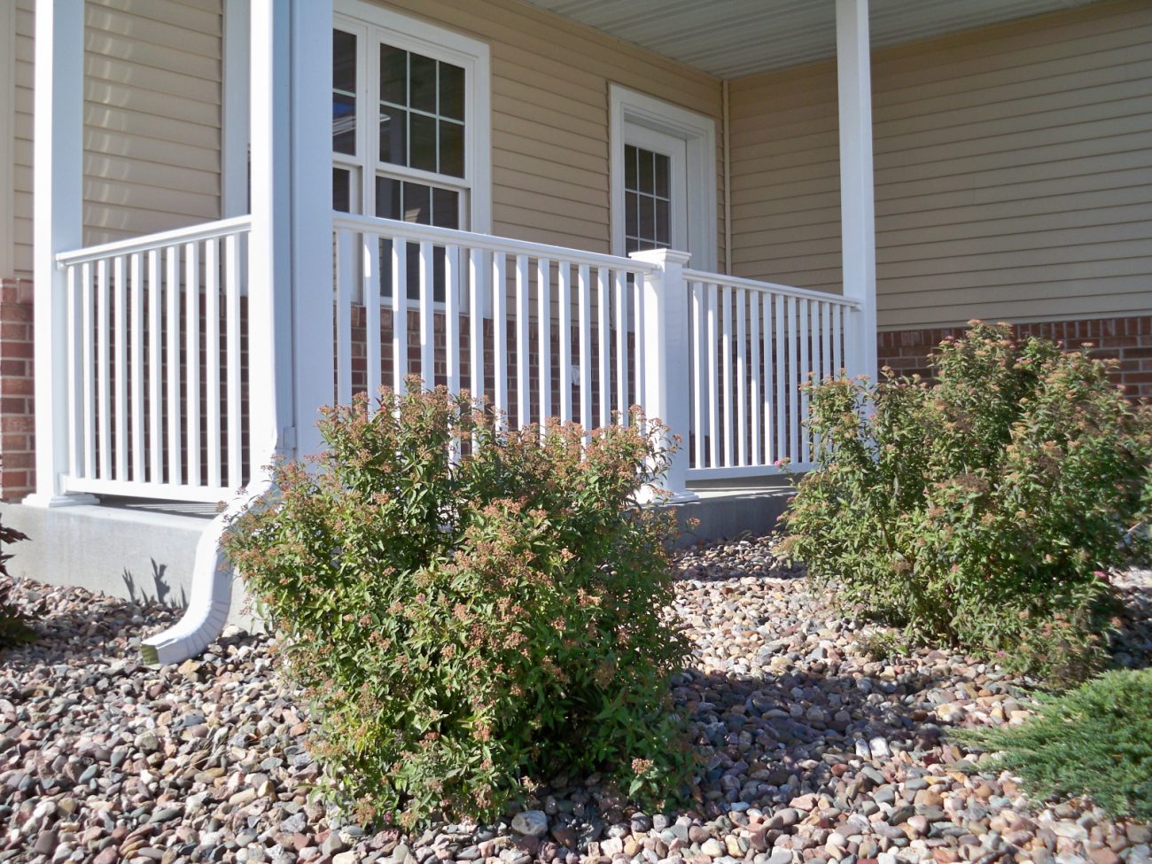 White raven | Phillips Outdoor Services