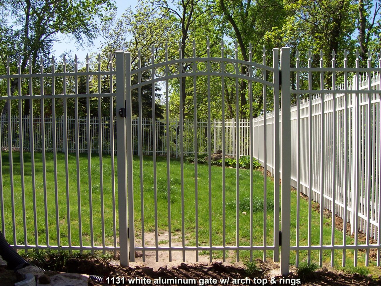 white 1131 aluminum gate with arc top | Phillips Outdoor Services